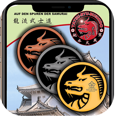 Sponsoring - Werden Sie Partner des Tatsu-Ryu-Bushido