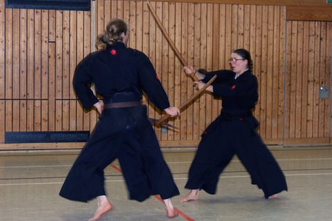 Zertifizierte(r) Yoga-Trainer(in) im Tatsu-Ryu-Bushido TATSU-RYU ...