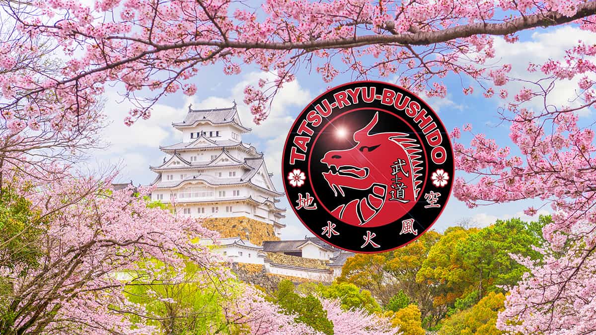 TRB | Samurai-Camp-2024-EN